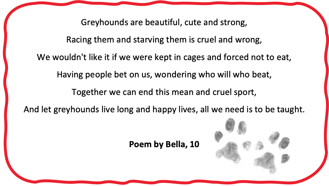 We have our winners! - SAFE Animal Squad - Together we can make a ...